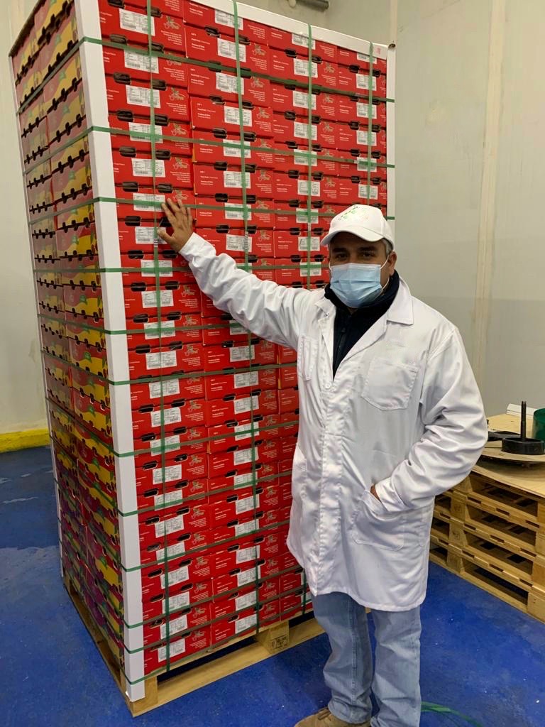 AgusFrut – Exportadora y Comercializadora De Frutas